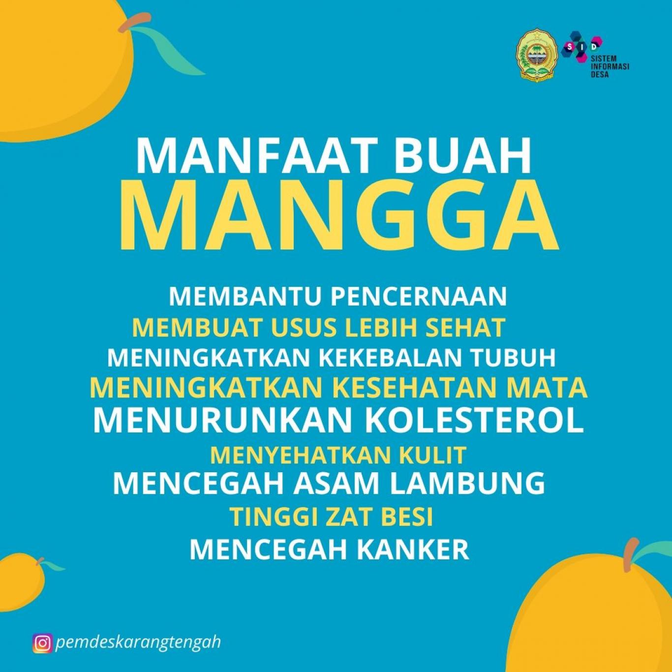 9 Manfaat Buah Mangga yang Baik untuk Kesehatan - Website Kalurahan ...