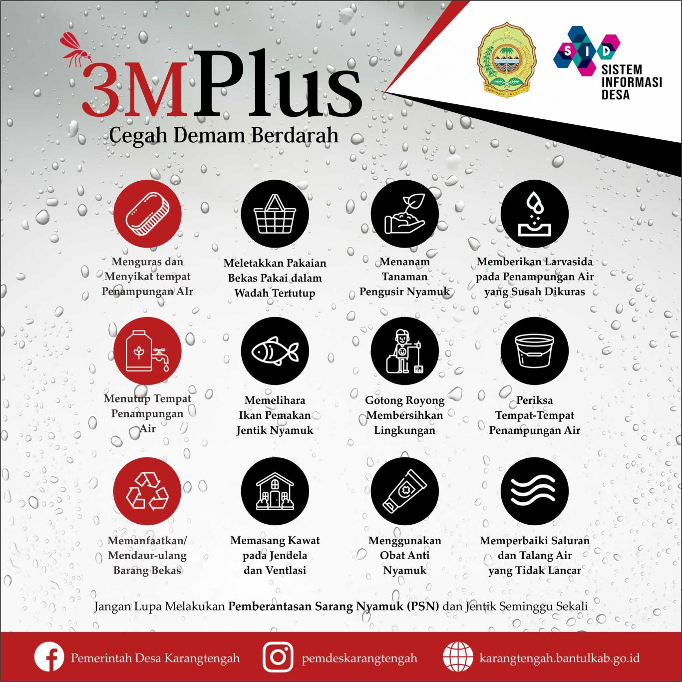 Mari! Budayakan 3M Plus untuk Cegah Penyakit DBD - Website Kalurahan ...